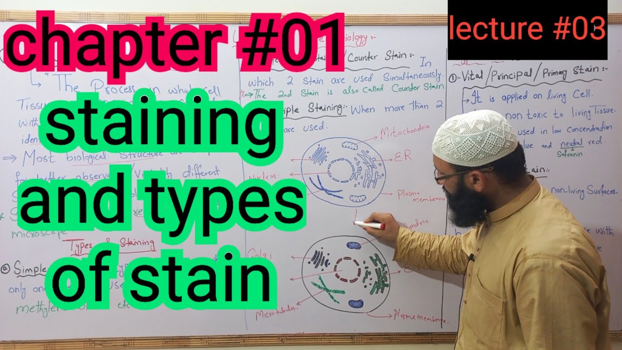 staining | mordant | type of staining | @learning channel @Ghulamullah ...