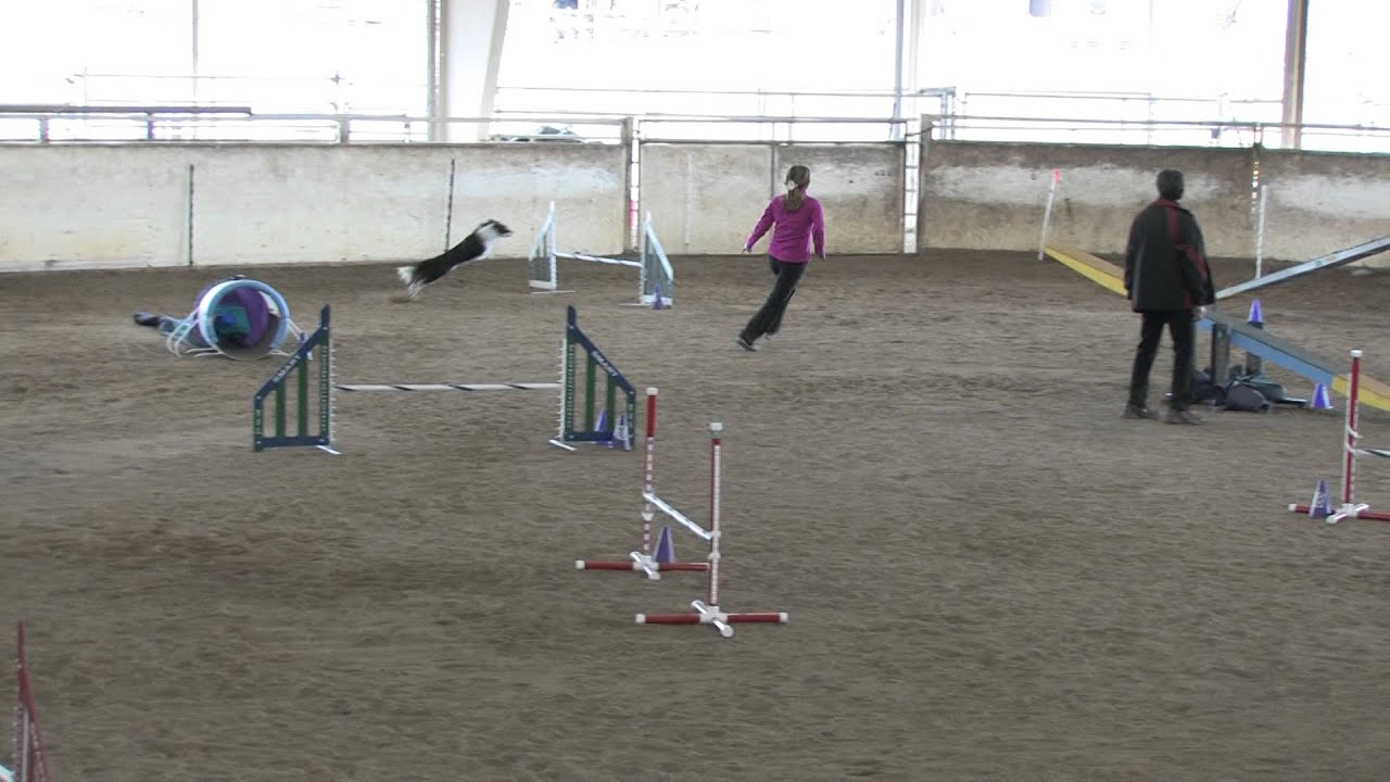 EEK team standard USDAA near disaster at the end - YouTube