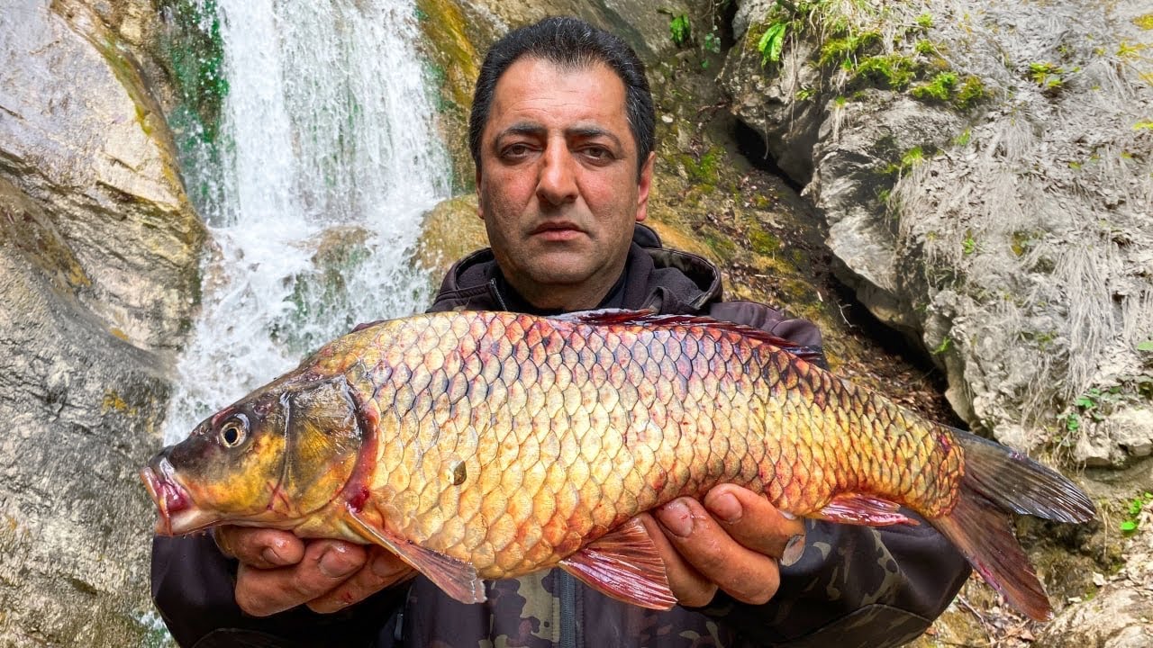 3 CARP, WATERFALL AND FRESH AIR! THE PERFECT COMBINATION FOR THE BEST ...