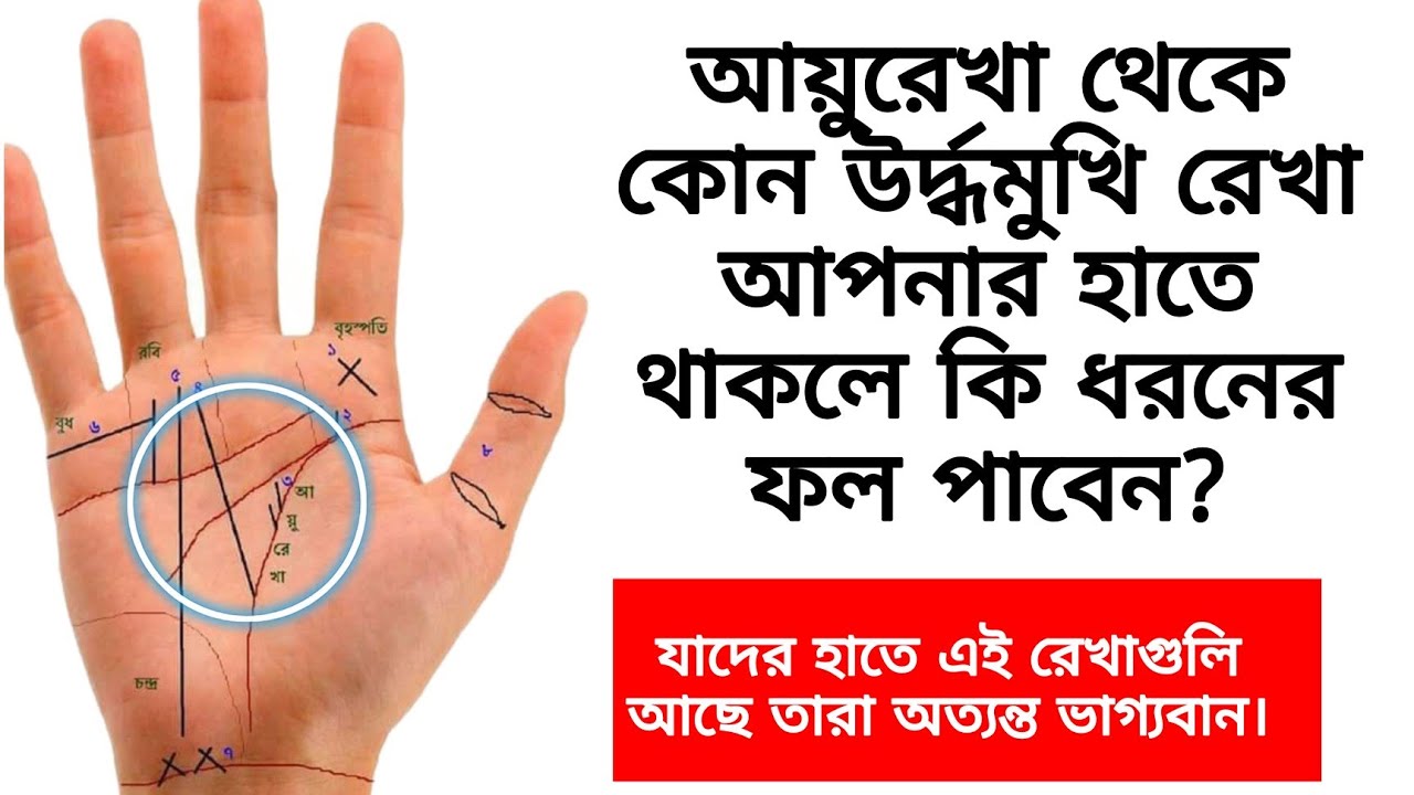 আয়ুরেখা থেকে ঊর্ধ্বগামী রেখা আপনার হাতে থাকলে কিরকম ফল লাভ করবেন|Life ...
