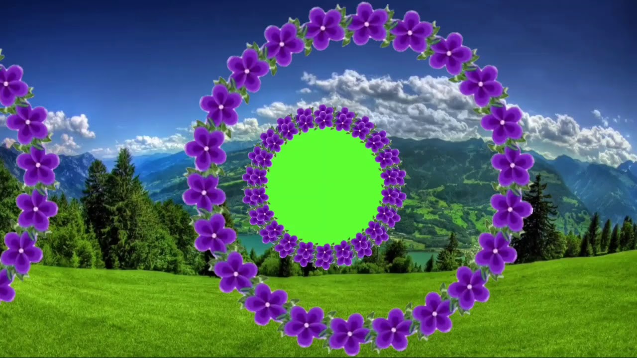 wedding green screen effects hd background video effects || marriage ...