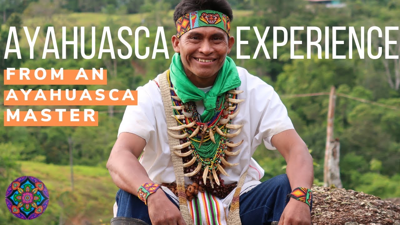 Ayahuasca Experience from a TAITA | The Native Guides - YouTube