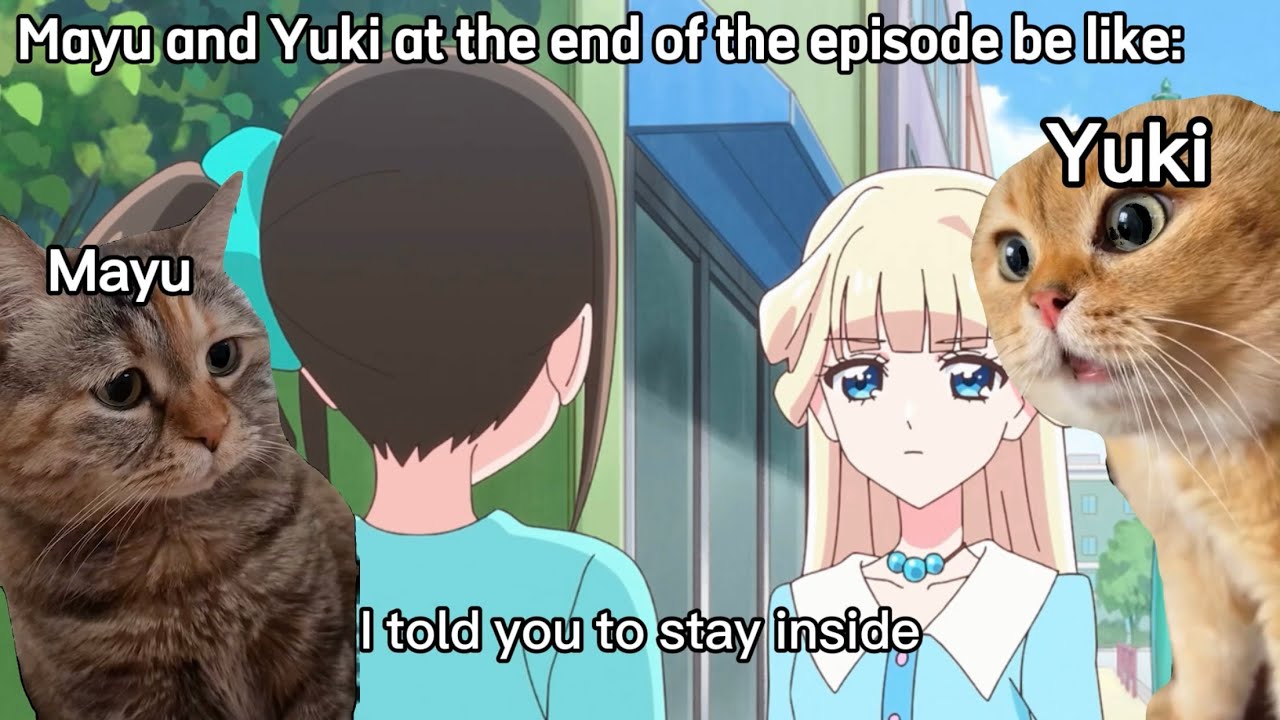 Mayu and Yuki's feelings - Wonderful Precure Meme - YouTube