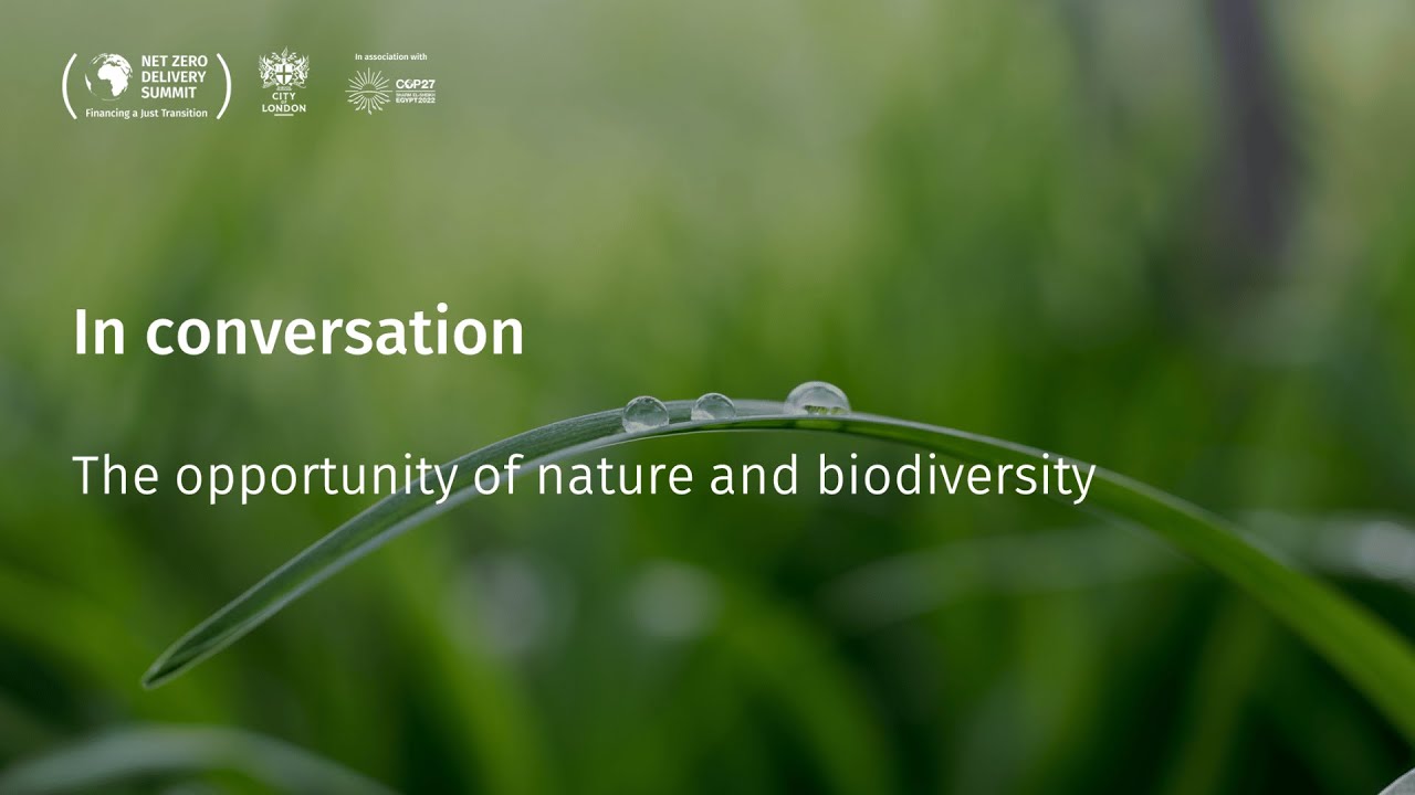 In conversation: the opportunity of nature and biodiversity - YouTube