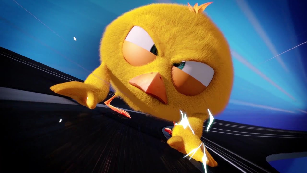 Where's Chicky? Funny Chicky 2022 ⚡️ SPEED RACING ⚡️ Cartoon in English ...