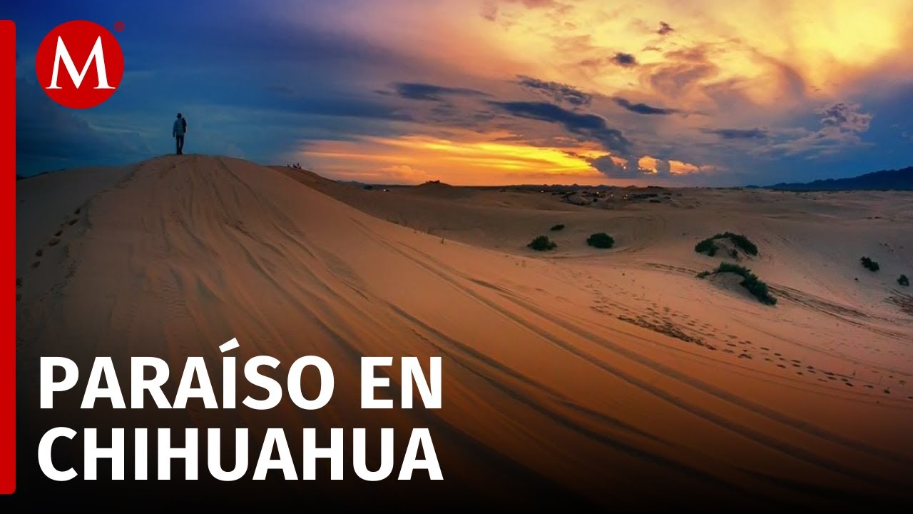 Dunas de Samalayuca, uno de los mejores destinos turísticos en ...