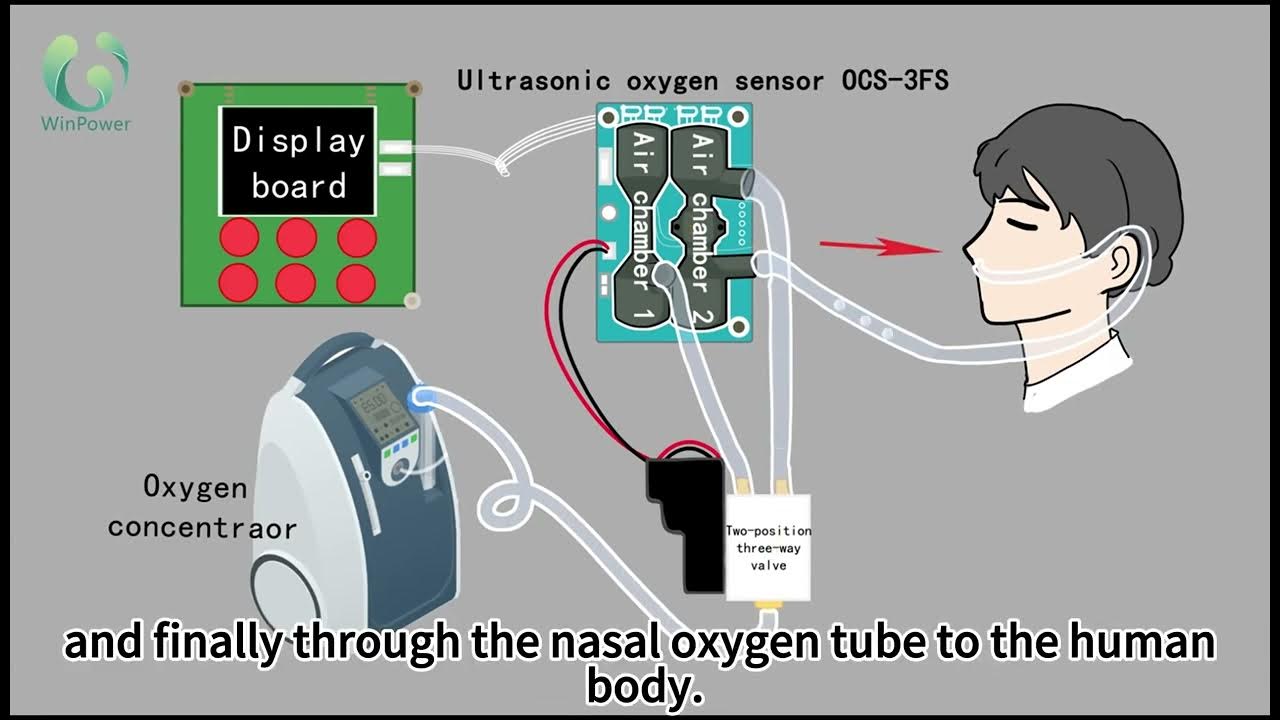 The working principle of OCS-3FS ultrasonic oxygen sensor - YouTube