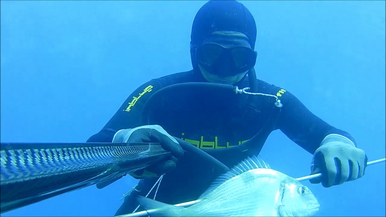 spearfishing 3 - YouTube