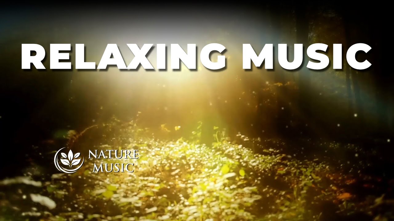Relaxing Music Calm Music Tranquil Vibes Gentle and Relaxing Music for ...