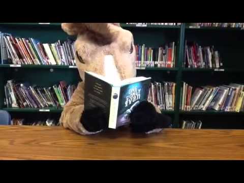 Woodward Elementary School - YouTube