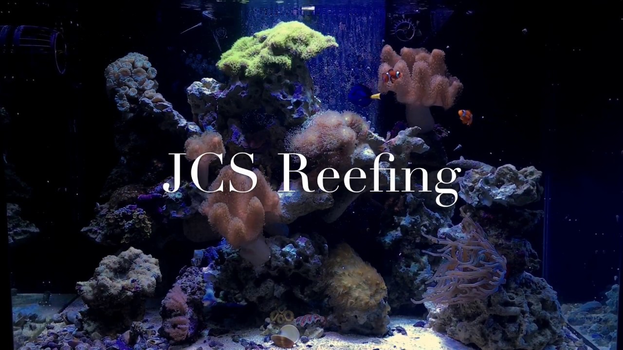 Drop Off Tank Build (episode 1) - YouTube