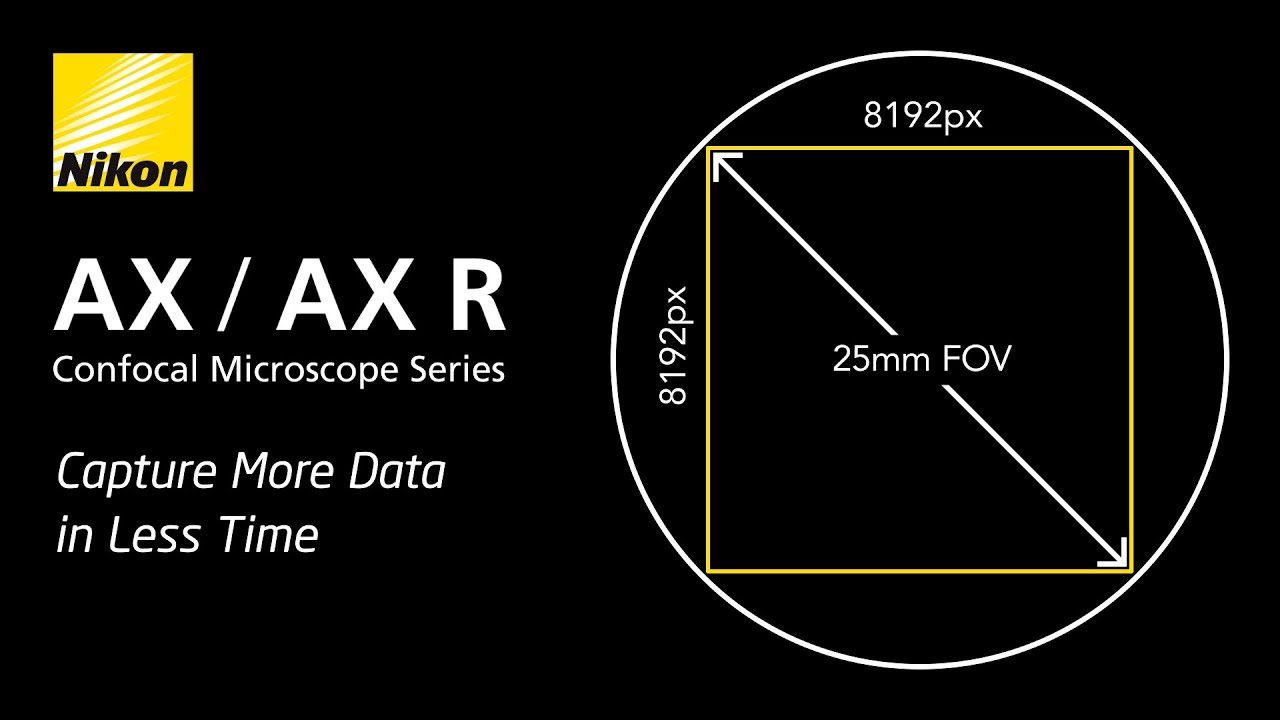 See More of the Specimen with Large Field Of View | AX / AX R Confocal ...