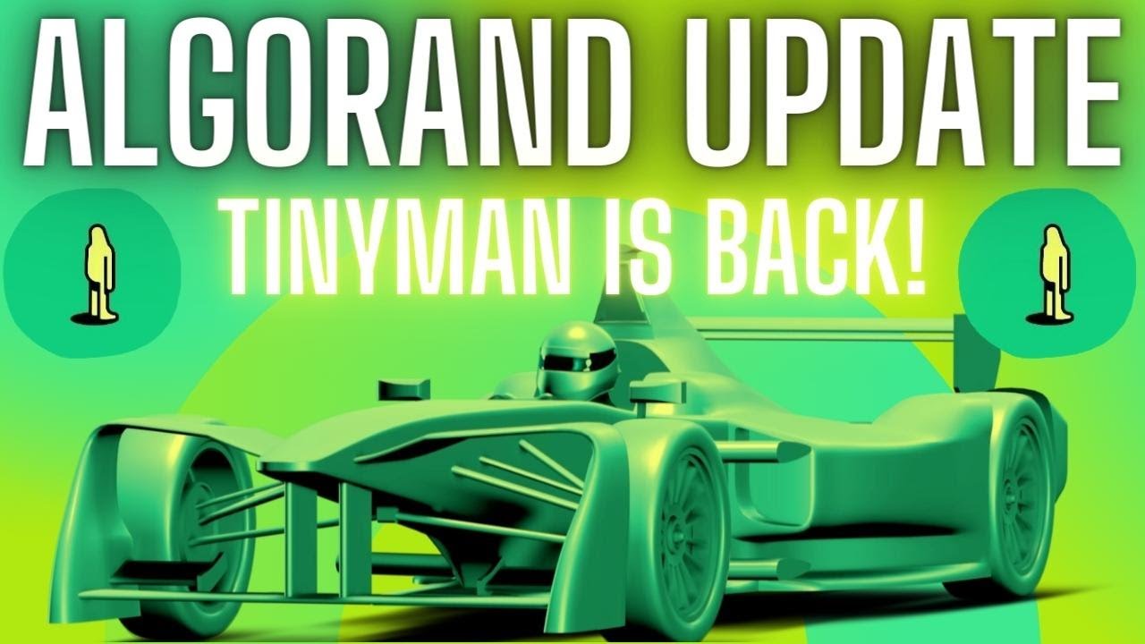 ALGORAND UPDATE! TINYMAN & TINYCHART ARE BACK!! LETS GET BACK TO TRADING THOSE ASA'S!! - YouTube