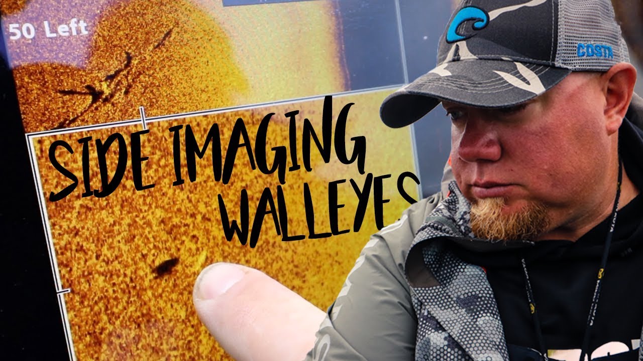 What walleyes actually look like on Side Imaging - YouTube