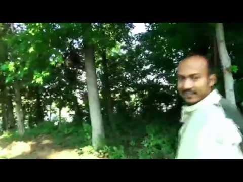 Southern illinois University campus tour | Campus Lake | SIU Foundation ...