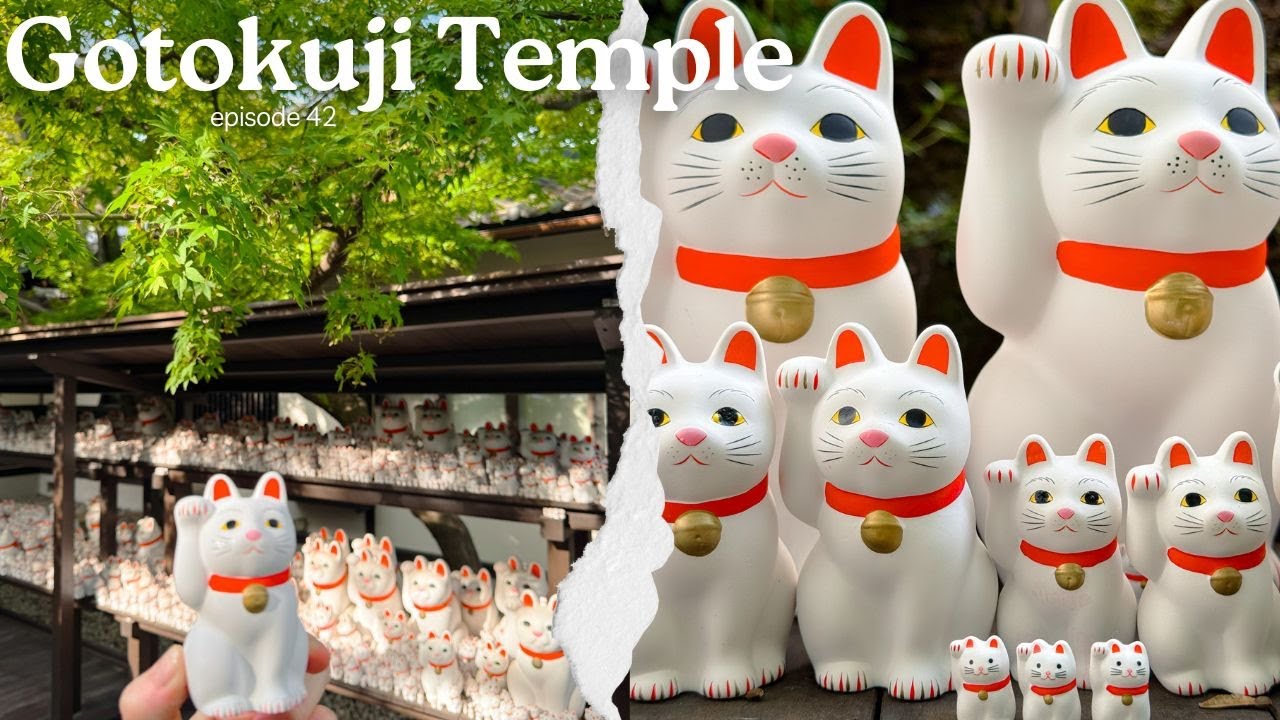 The Hidden Cat Temple of Tokyo: Gotokuji’s Secret World 🐱 - YouTube