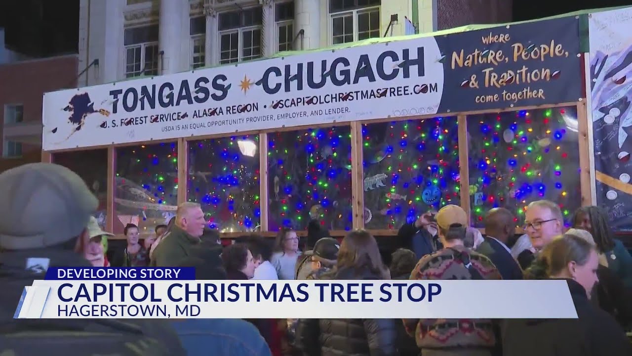 Capitol Christmas Tree makes stop in Western Maryland - YouTube