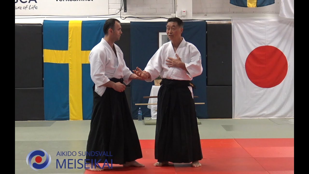 Aikido Gyaku Hanmi Uchikaiten Nage, Shishiya Sensei Sundsvall 2016 ...