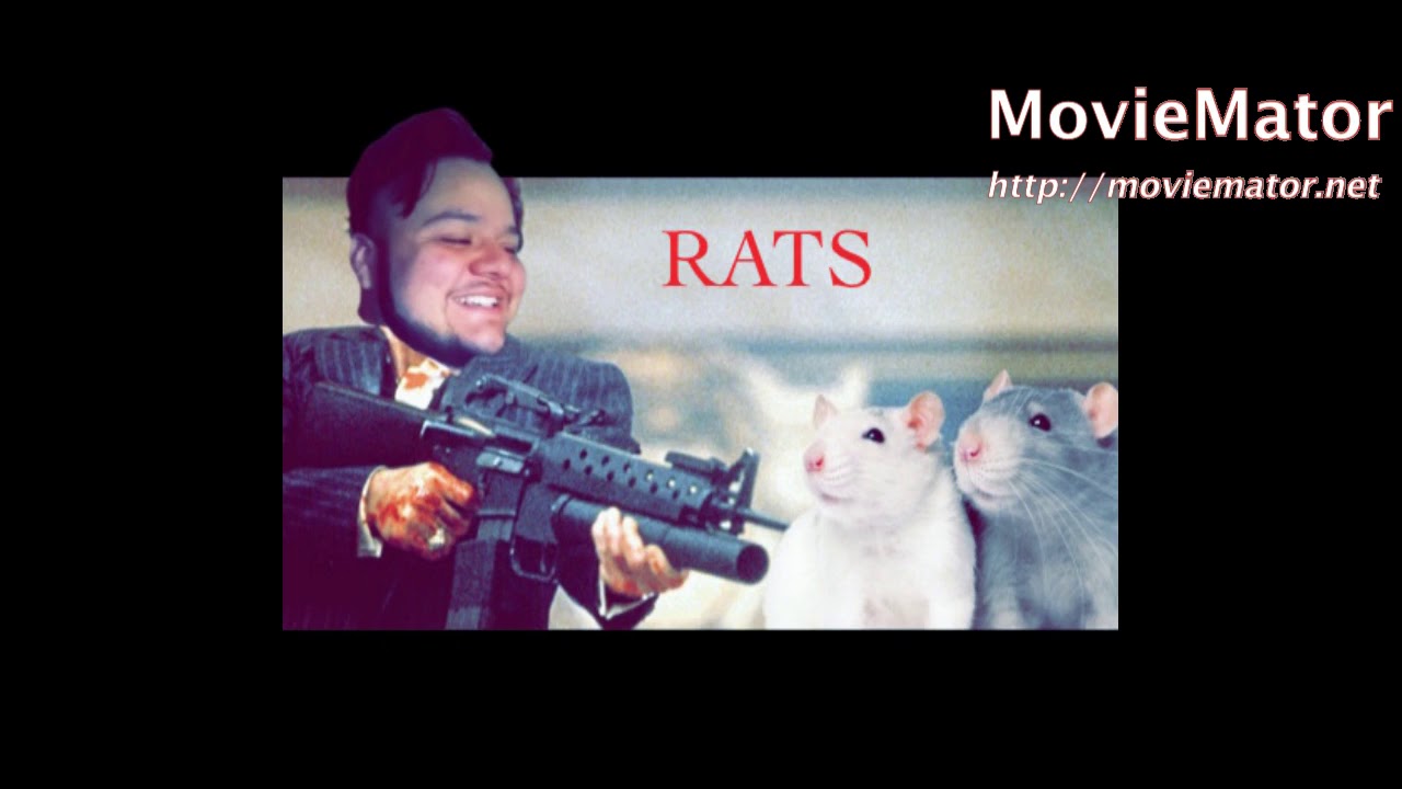 Kang Po - Rats ft. Pamer - YouTube Music