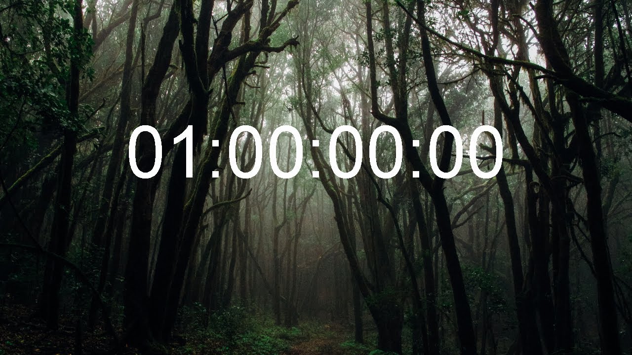 1 Hour Timer And Alarm 1080p Countdown Youtube