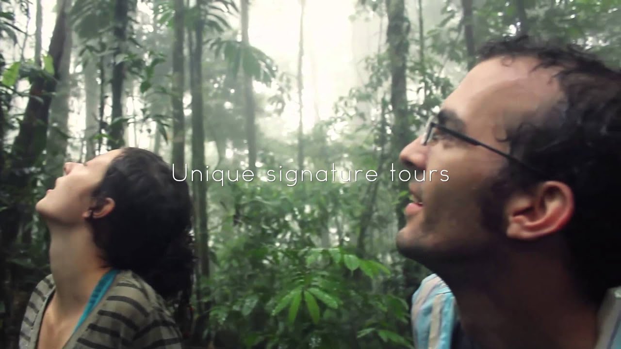 Volunteer Abroad with Animals with The Great Projects! | The Great ...