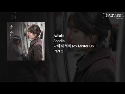 [My Mister OST Part.2] Sondia - Adult (Türkçe Altyazılı)