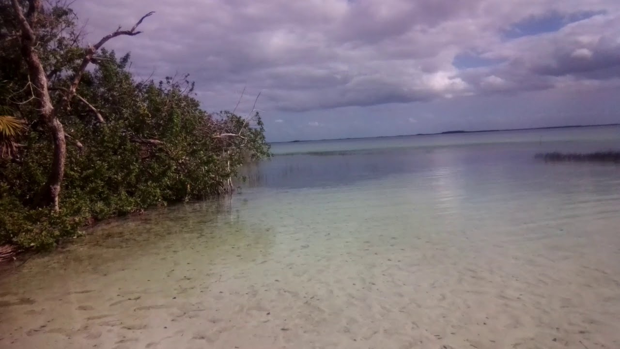 Laguna Nopalitos Pino Suarez Tulum México. Ebel Garcés - YouTube