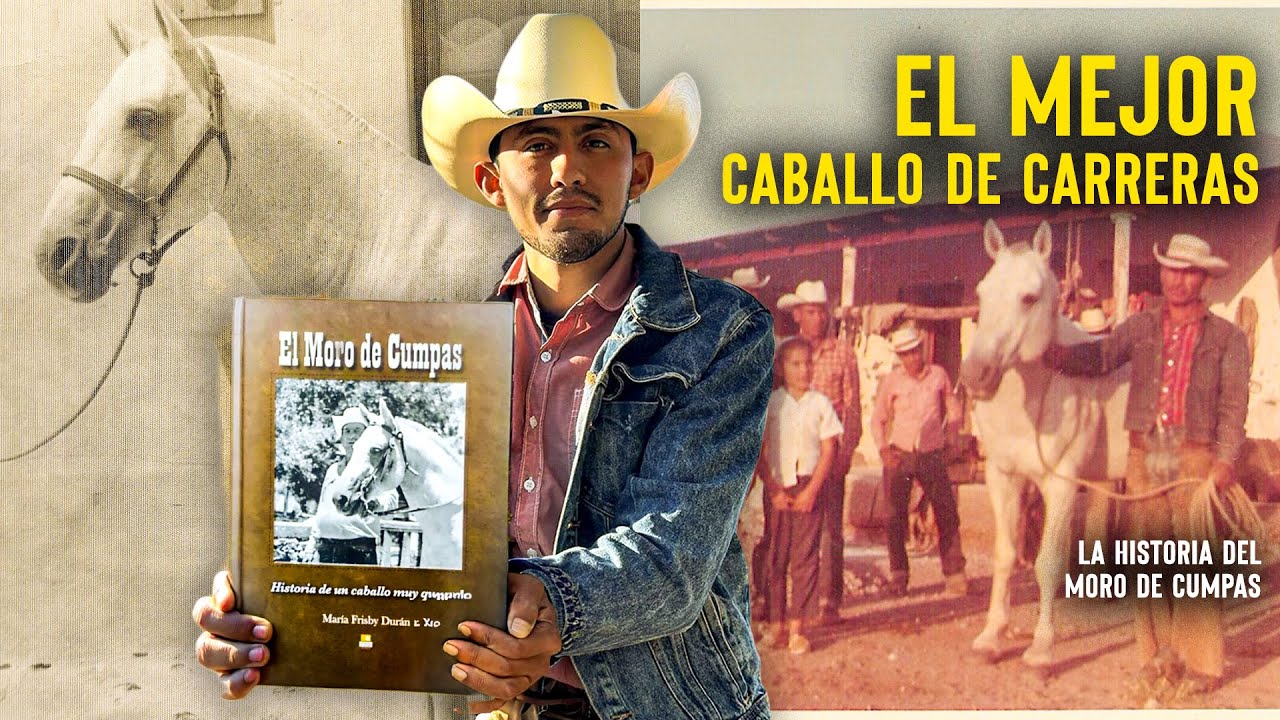 El caballo mas LEAL, FUERTE y ganador en las carreras | La historia del ...