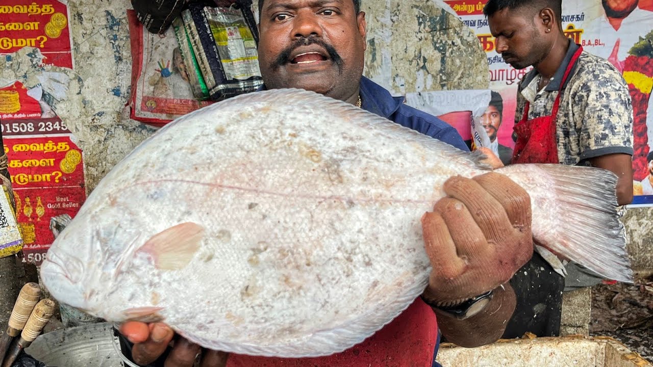 KASIMEDU 🔥 SPEED SELVAM | BIG SOLE NAKKU FISH CUTTING VIDEO | 4K VIDEO ...