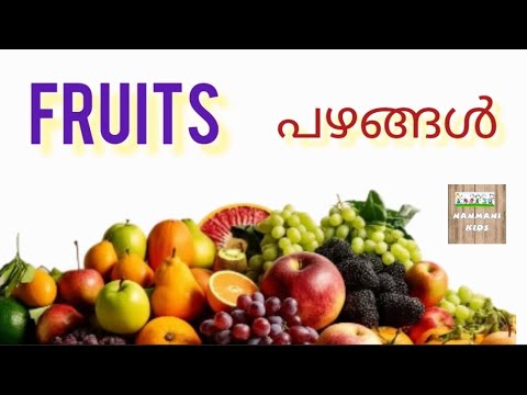 Fruits/ Malayalam Names of Fruits/ പഴങ്ങൾ - YouTube