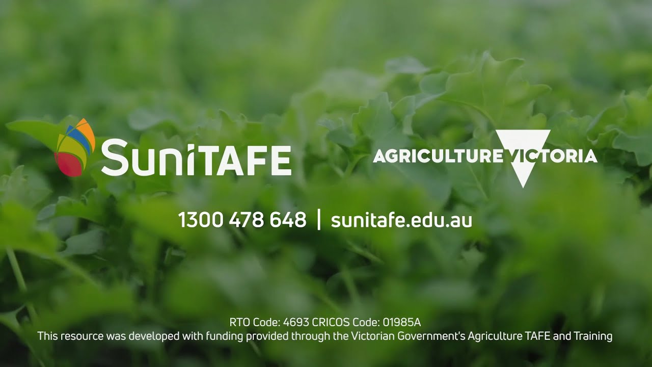 Cultivate your career - Protected Horticulture with SuniTAFE - YouTube