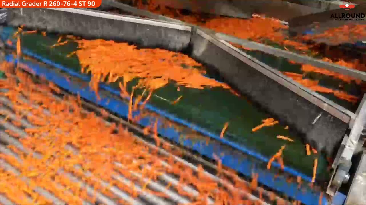 Radial grader R 260-76-4 pitch 90 | France | Allround Vegetable Processing - YouTube