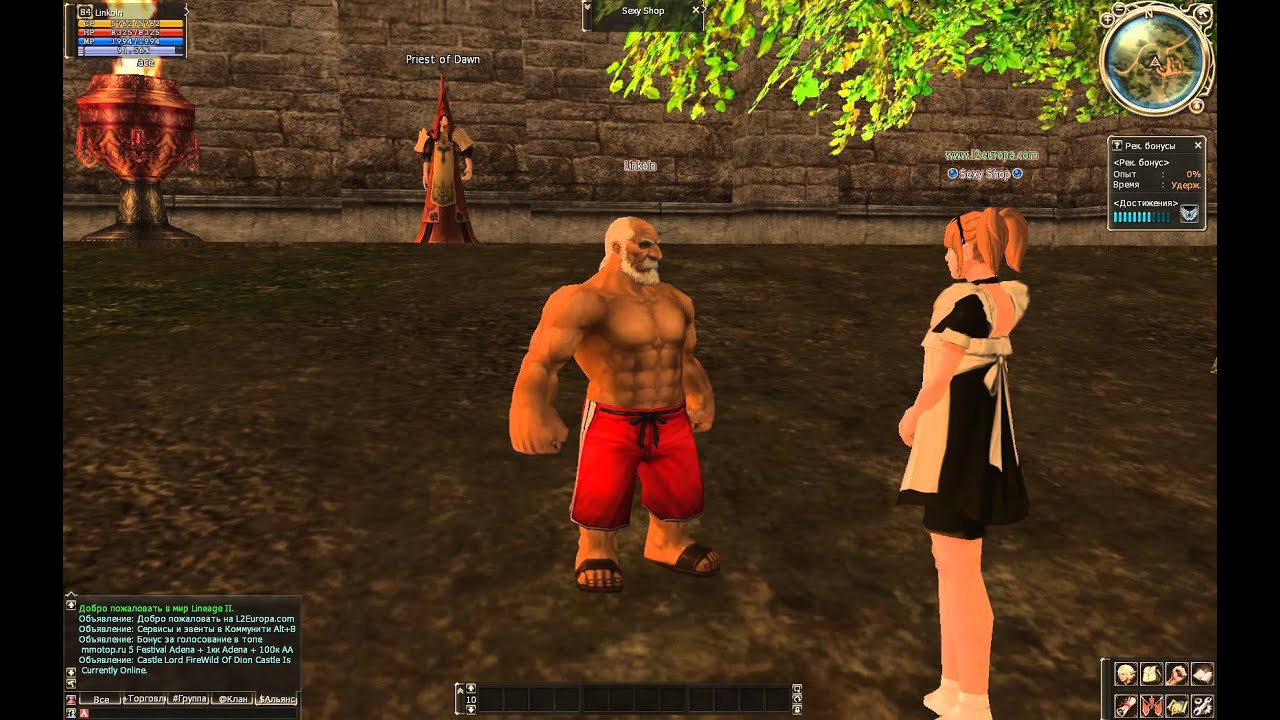 Lineage 2 Bathing suits, raincoats, tattoos, costumes Lineage 2 Костюмы ...
