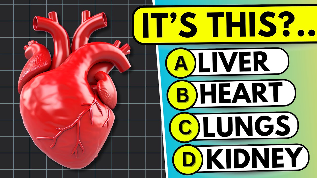 🧠 The HARDEST Human Body Anatomy Quiz Ever! 💀 | General Knowledge Quiz ...
