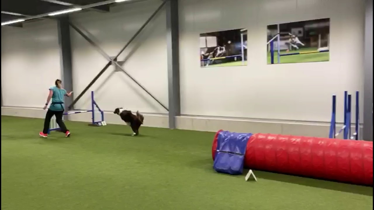 Ocean Agi Training - YouTube