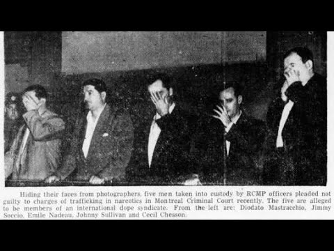 Montreal Mob War Timeline (Part 2) #montreal #organizedcrime #mafia ...