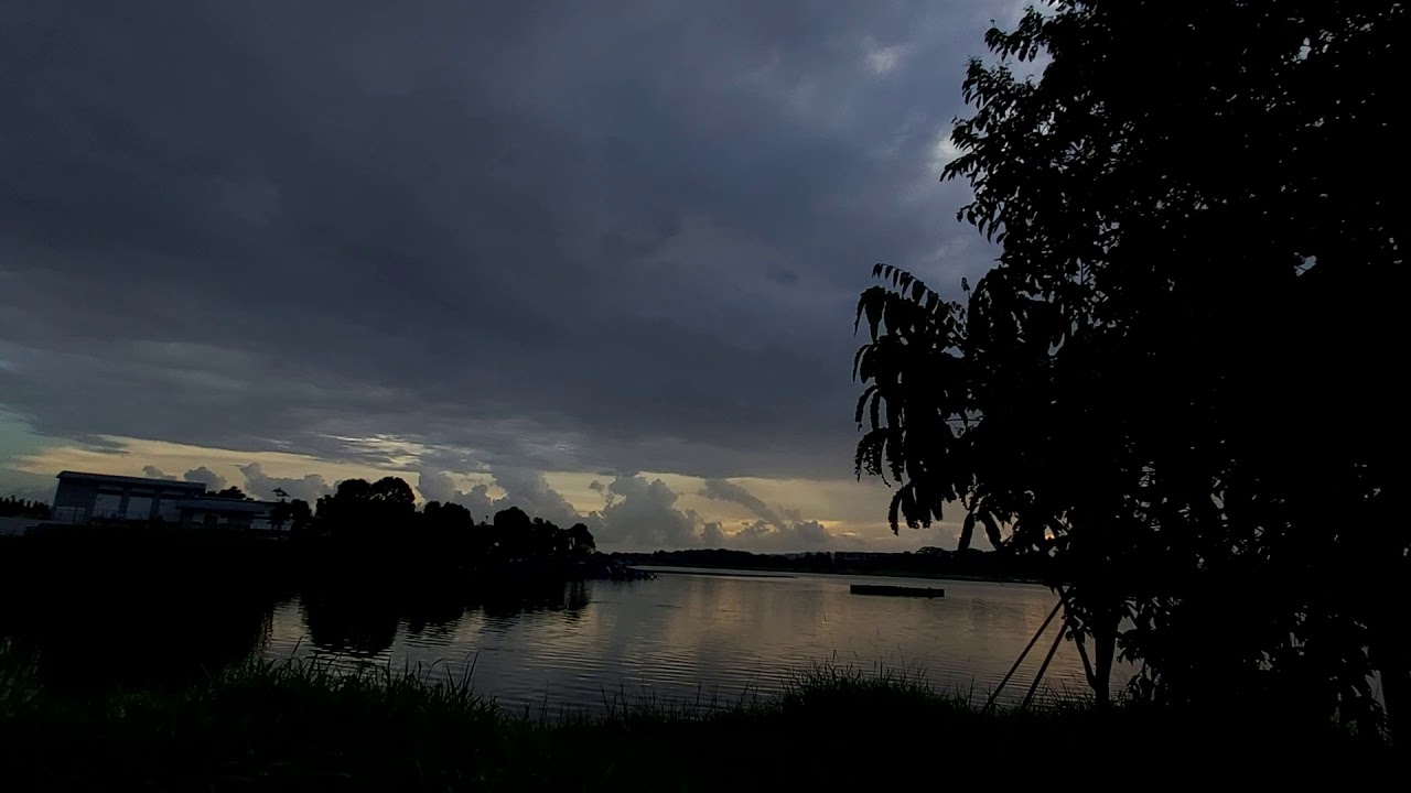 Nature by the park ( Yishun Dam, Singapore ) - YouTube