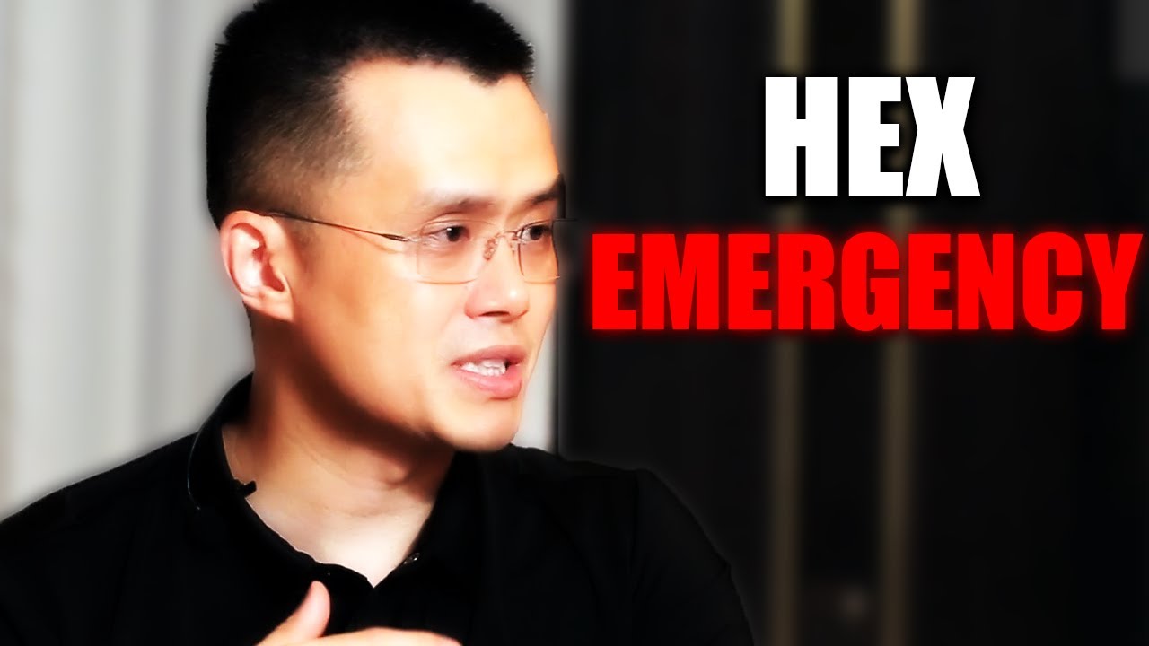 HEX EMERGENCY FOR THIS YEAR - HEX PRICE PREDICTION AND ANALYSIS 2023 ...