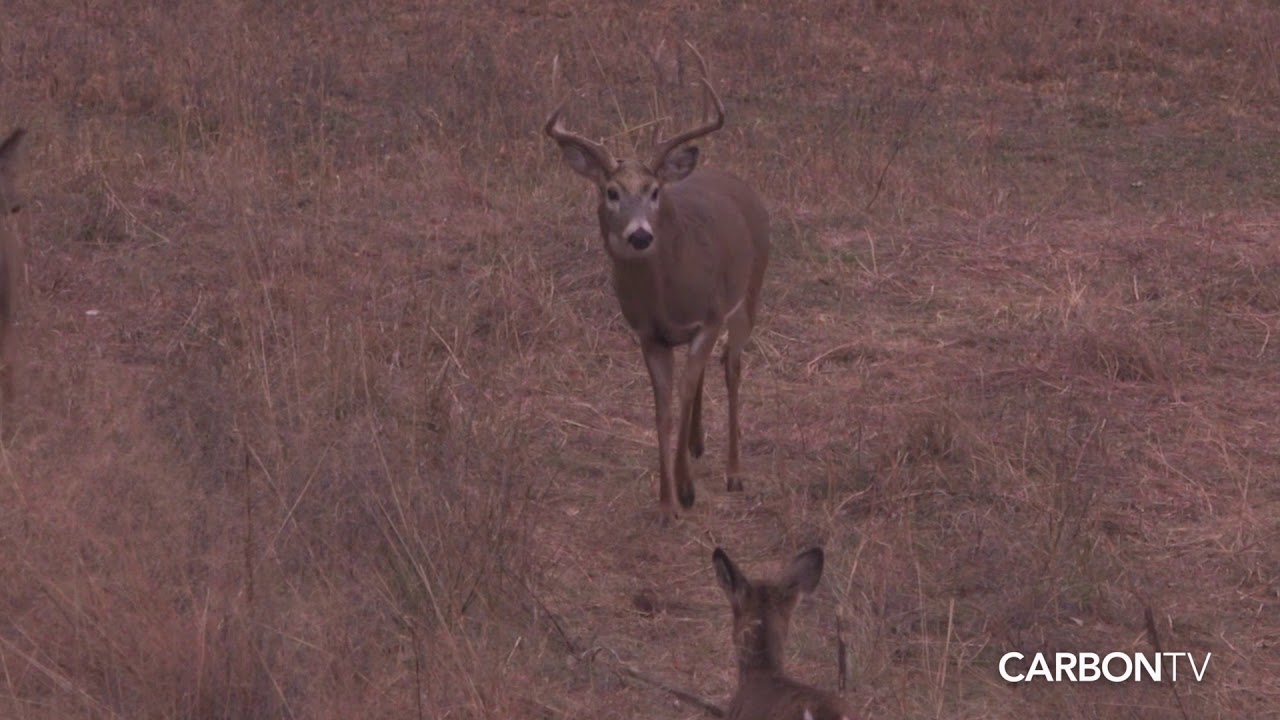 Big 7 I Dream Chasers Hunt - YouTube