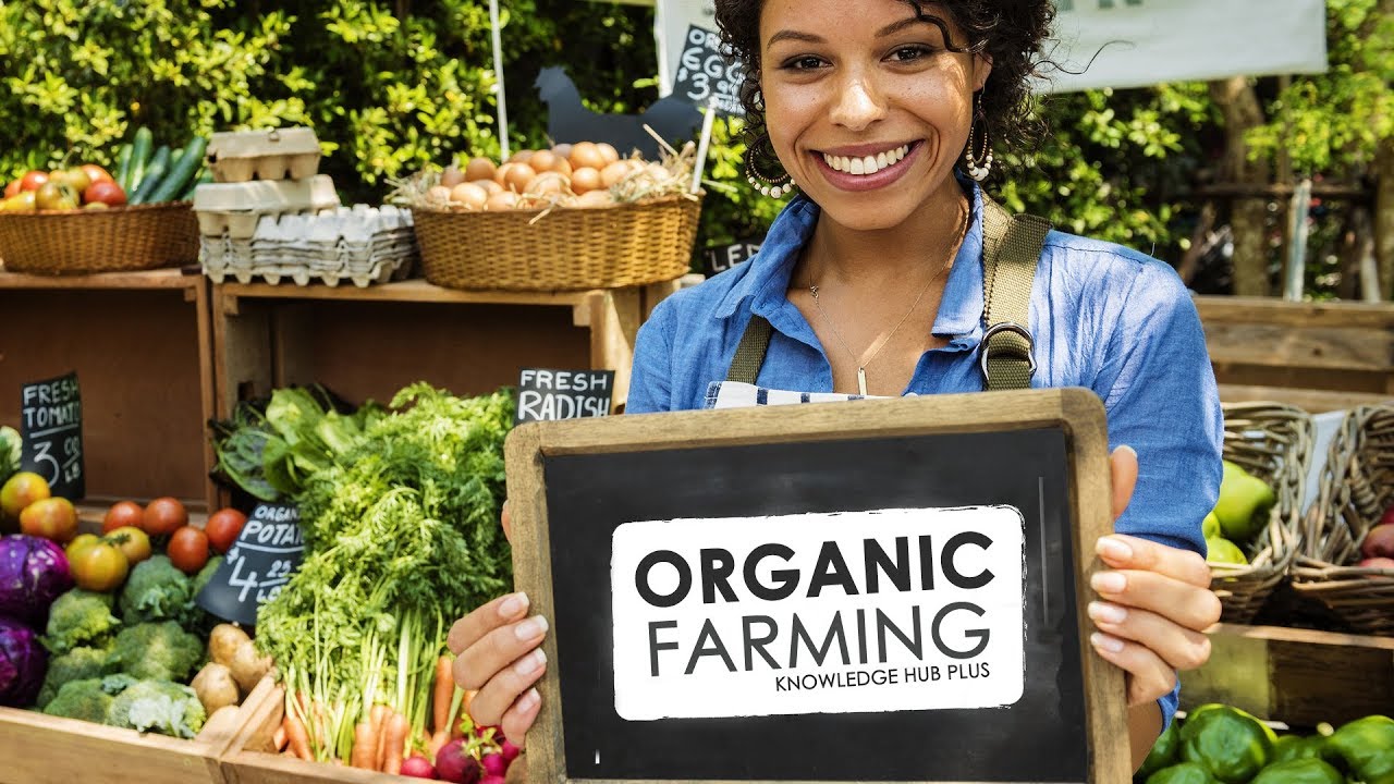 ORGANIC FARMING | Knowledge Hub Plus - YouTube
