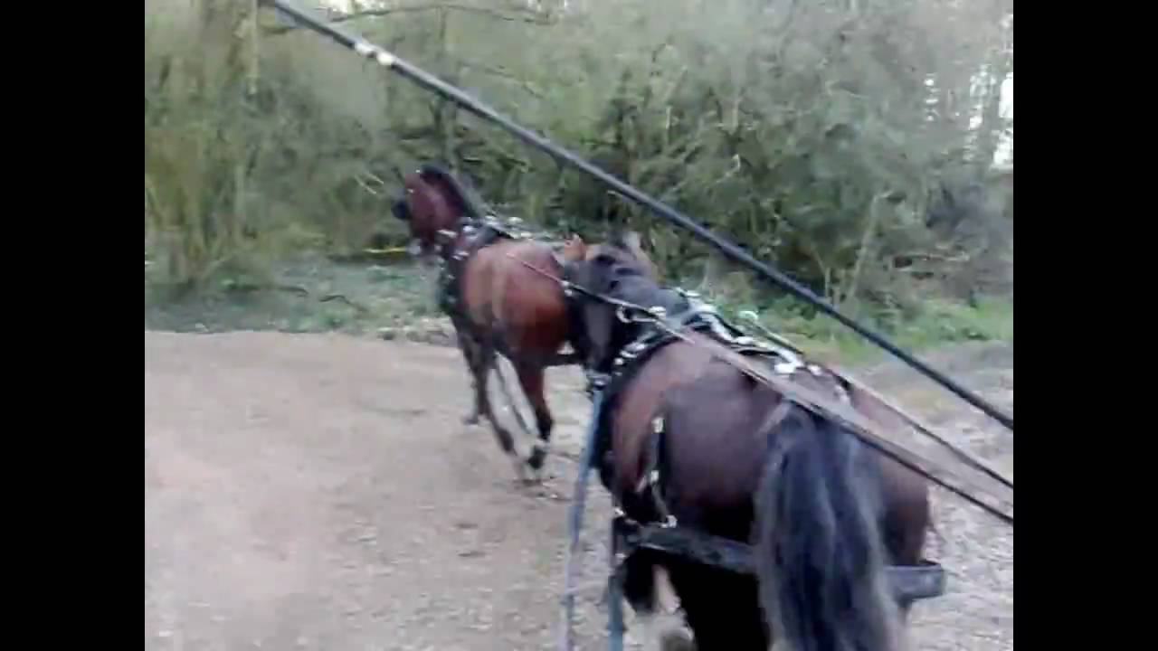 Tandem Driving training Day 3 "off road" - YouTube