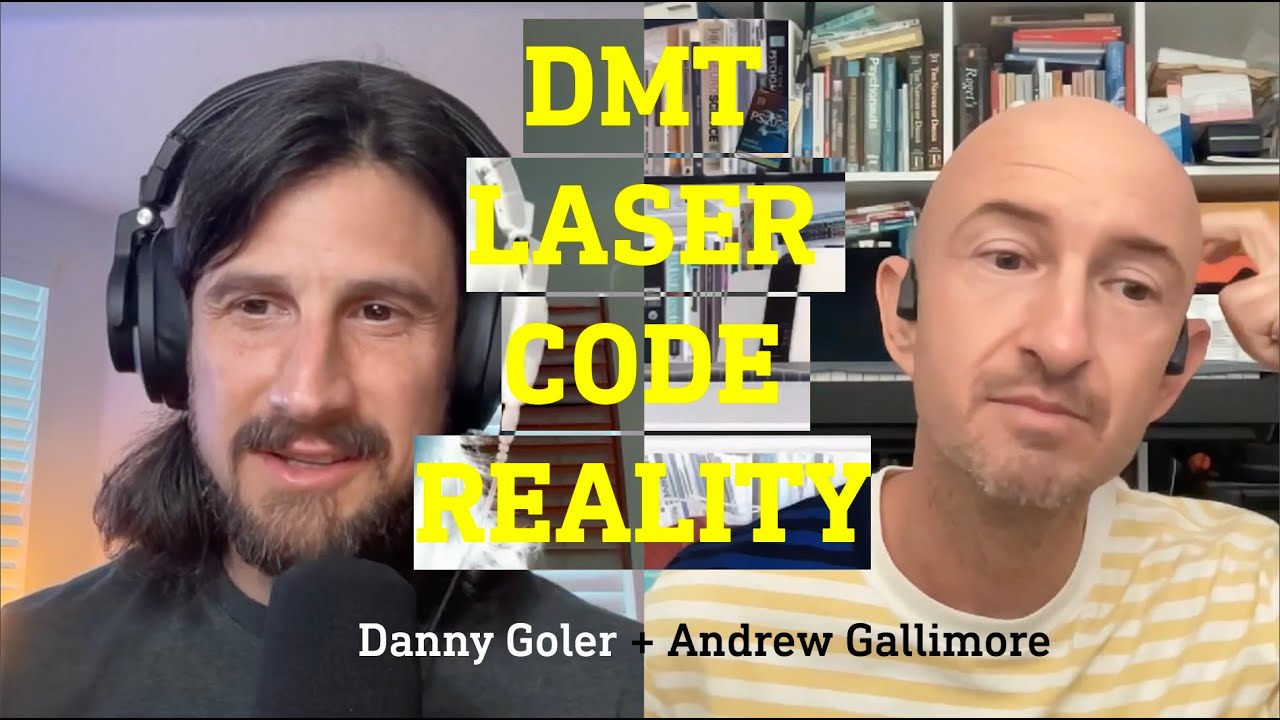 Andrew Gallimore discussing the DMT "laser code" effect with Danny ...