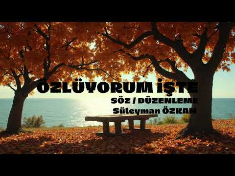 ÖZLÜYORUM İŞTE