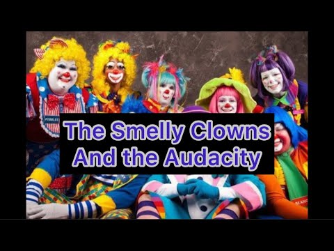 🤡 WTF did you say Smelly?? 😳🤡 #summerwells #cloutchasing #drama #fyp ...