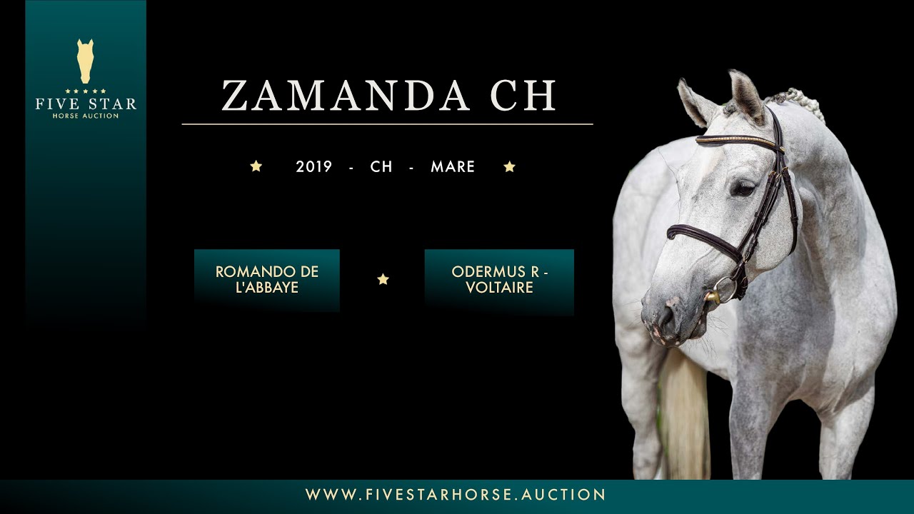 Zamanda CH (Romando de l'Abbaye - Odermus R - Voltaire) 2019. SW mare ...