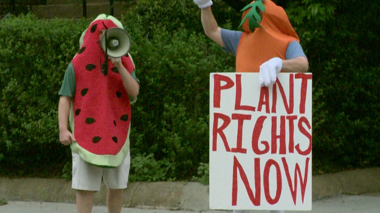 PETA Protested by Fruit & Vegetable Plants - YouTube
