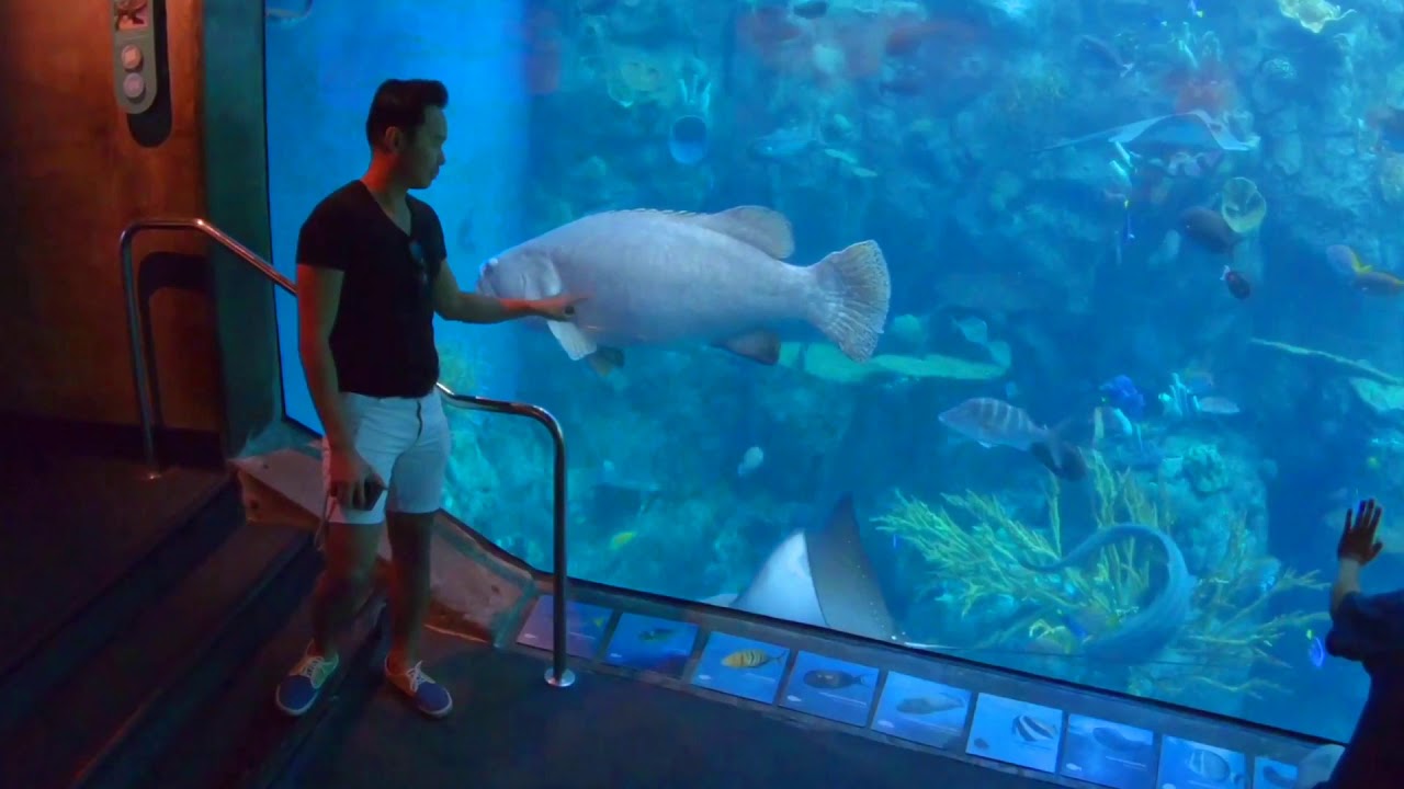 Huntington Library and Botanical Gardens & Aquarium Of The Pacific ...