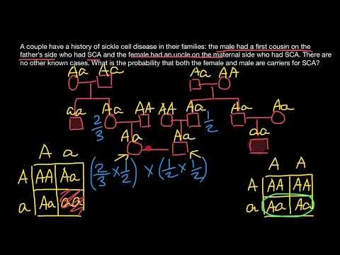 How to use Pedigree to Solve Probability Problems - YouTube