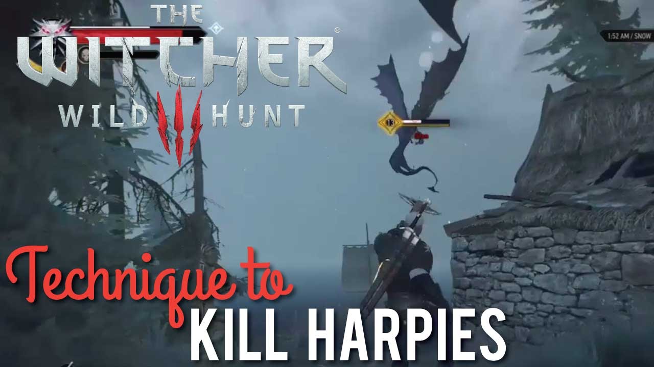 Technique for Killing Harpies, The Witcher 3 Wild Hunt - YouTube