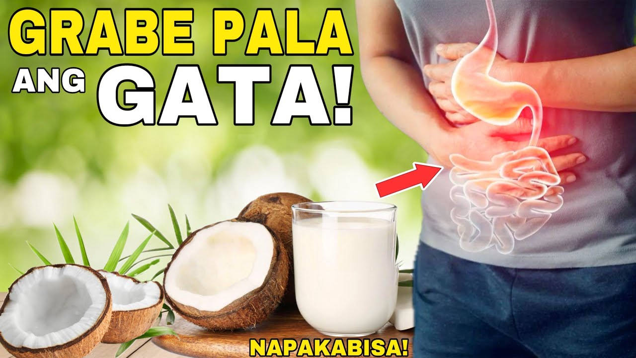 NIYOG: Grabe gamot pala ang GATA ng NIYOG | Facts and Benefits of ...